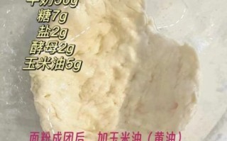 做披萨需要什么材料_披萨面饼怎么和面