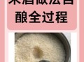 糯米甜酒怎么做最正宗_家庭自酿甜酒酿详细步骤