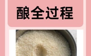 糯米甜酒怎么做最正宗_家庭自酿甜酒酿详细步骤