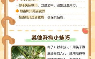 开椰子器怎么用_椰子开孔器使用方法