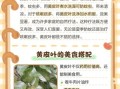 黄皮叶的功效与作用_黄皮叶的禁忌有哪些