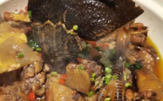 甲鱼炖鸡的做法_甲鱼炖鸡怎么炖才好吃