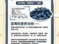 蓝莓的营养价值_蓝莓的功效与作用