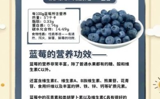 蓝莓的营养价值_蓝莓的功效与作用