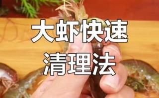 活虾怎么清洗_虾线怎么挑出来