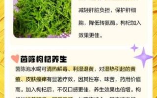 茵陈的功效与作用_茵陈怎么泡水喝