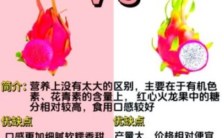 白心火龙果和红心火龙果哪个好_功效区别在哪