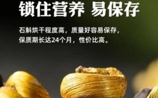 干石斛怎么吃_干石斛泡水还是炖汤