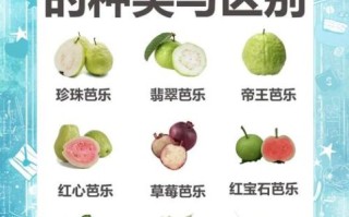 芭乐太难吃了怎么办_芭乐为什么难吃
