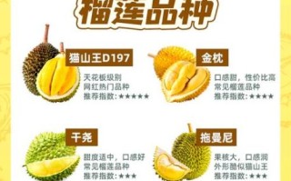 榴莲品种排名前十_哪个最好吃