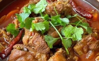 鹿肉煲汤用什么材料_鹿肉煲汤怎么做好吃