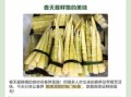 春笋怎么处理才不涩味_春笋去涩最快方法