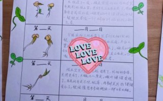 绿豆七天日记怎么写_观察绿豆发芽过程记录