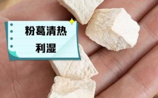 粉葛煲汤要去皮吗_粉葛皮能吃吗