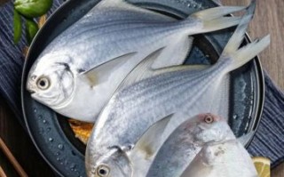 银鲳鱼营养价值_孕妇能吃吗