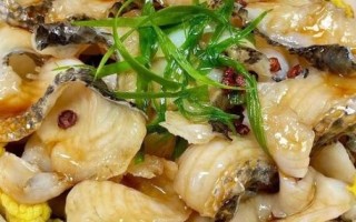 红烧黑鱼怎么做_红烧黑鱼的家常做法