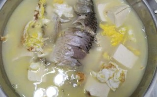 鲤鱼汤怎么做好吃_家常鲤鱼汤的做法窍门