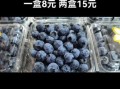 蓝莓为什么按盒卖_蓝莓一盒一盒卖的好处