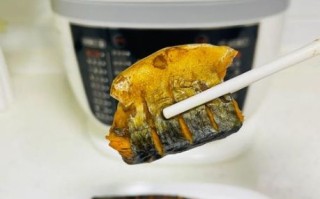 鲅鱼炖茄子怎么做_家常做法步骤