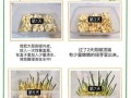 水培大蒜头几天发芽_水培大蒜头1一7天图片记录