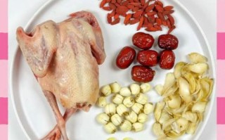 野鸽子怎么做好吃_野鸽子炖汤的做法