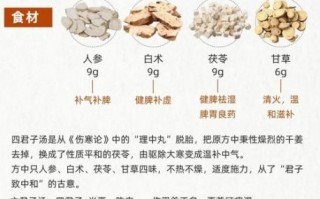 四君子汤和六君子汤的区别_哪个更适合脾虚