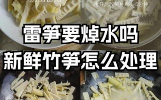 鲜笋怎么处理不苦_鲜笋焯水多久才脆