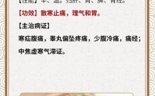 小茴香的功效与作用_小茴香能治什么病