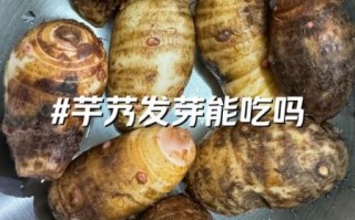 芋艿煮多久_芋艿怎么判断熟没熟