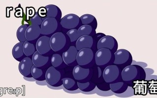 grape怎么拼写_grape的复数形式是什么