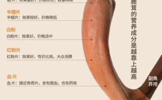 鹿茸怎么吃补肾壮阳_鹿茸壮阳的正确吃法