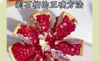 剥石榴神器怎么用_哪款剥石榴神器好用