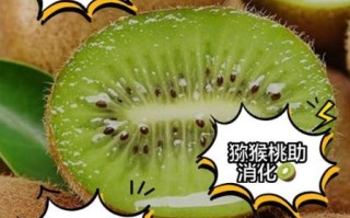 弥猕猴桃的功效与作用_弥猕猴桃怎么吃最有营养