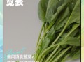 菠菜和香菇能一起吃吗_菠菜香菇相克吗