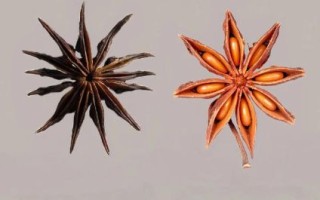 大料是什么意思_大料和八角的区别