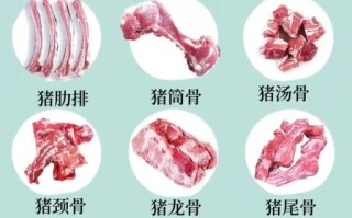 猪脊骨是哪个部位_猪脊骨和猪龙骨区别