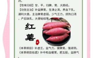红薯的功效与作用_红薯怎么吃最健康