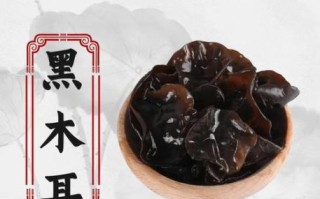 吃木耳暗示什么意思_女生说吃木耳暗示什么