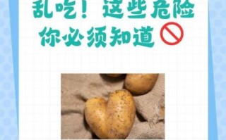 土豆发芽会产生什么毒素_吃了发芽土豆怎么办