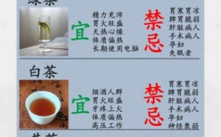 适合长期喝的养生茶有哪些_如何正确饮用不上火