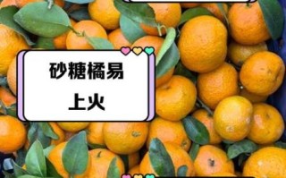 沙糖桔吃多了会上火吗_沙糖桔一天最多吃几个