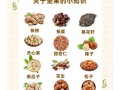 坚果的功效与作用_每天吃多少坚果最健康