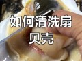 小扇贝怎么做_小扇贝怎么清洗