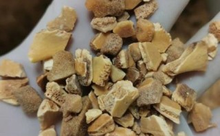 醋鳖甲的功效与作用及禁忌_醋鳖甲哪些人不能吃