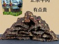 牦牛肉干多少钱一斤_正宗牦牛肉干价格表