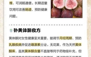 无花果茶的功效与作用_无花果茶可以天天喝吗