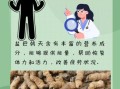 盐巴戟天怎么吃_盐巴戟天的正确吃法