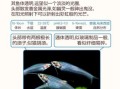 透明鱼怎么养_透明鱼是什么品种