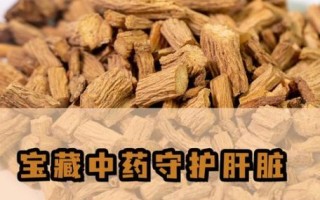 养肝护肝最有效的中药_什么中药养肝护肝最好