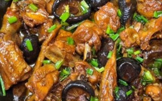 蘑菇炖鸡怎么做_蘑菇炖鸡用什么蘑菇最好